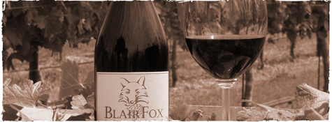 Blair Fox Cellars